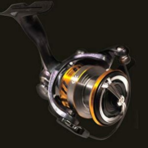 Daiwa Regal LT Spin Reel-RGLT2500D,Blue