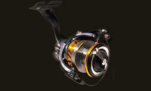 Daiwa Regal LT Spin Reel-RGLT2500D,Blue