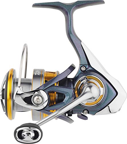 Daiwa Regal LT Spin Reel-RGLT2500D,Blue