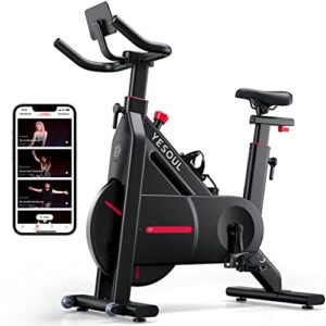 yesoul exercise bike spin bike for home – 100 level magnetic resistance bluetooth stationary bike big ipad mount indoor workout (black)