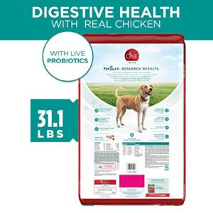 Purina ONE Dog Digestive Support, Natural Dry Dog Food, +Plus Digestive Health Formula - 31.1 lb. Bag