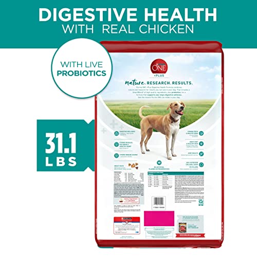 Purina ONE Dog Digestive Support, Natural Dry Dog Food, +Plus Digestive Health Formula - 31.1 lb. Bag