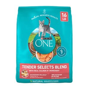 purina one natural dry cat food, tender selects blend with real salmon – 16 lb. bag