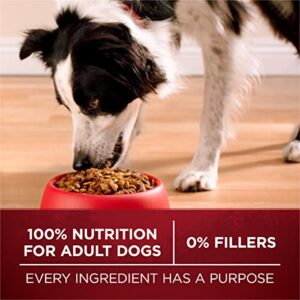 Purina ONE True Instinct With A Blend Of Real Turkey and Venison Dry Dog Food - 36 lb. Bag