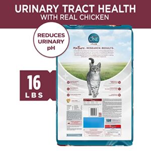 Purina ONE High Protein Dry Cat Food, +Plus Urinary Tract Health Formula - 16 lb. Bag