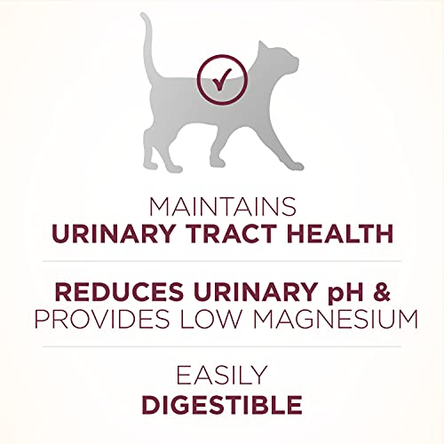 Purina ONE High Protein Dry Cat Food, +Plus Urinary Tract Health Formula - 16 lb. Bag