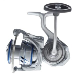 Daiwa Procyon MQ LT Spinning 6BB + 1RB 5.2 : 1