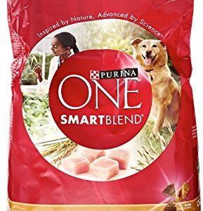 Purina One Dry Dog Food Chicken and Rice Formula, 4 lb