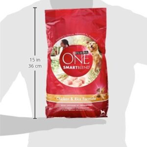 Purina One Dry Dog Food Chicken and Rice Formula, 4 lb