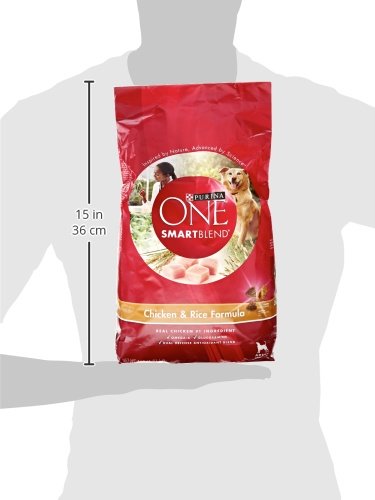 Purina One Dry Dog Food Chicken and Rice Formula, 4 lb