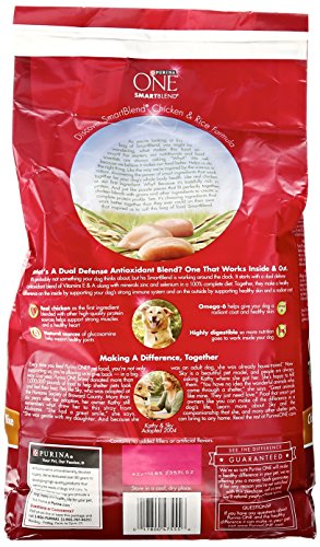 Purina One Dry Dog Food Chicken and Rice Formula, 4 lb