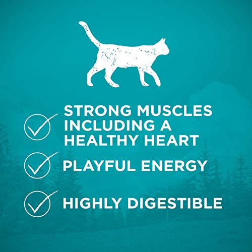 Purina ONE Natural, High Protein, Grain Free Dry Cat Food, True Instinct With Real Ocean Whitefish - 3.2 lb. Bag