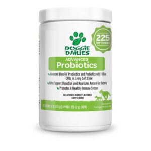 doggie dailies probiotics for dogs, advanced dog probiotics with prebiotics, promotes digestive health, supports immune system and overall health (duck)