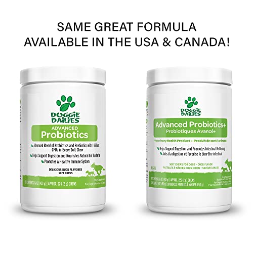 Doggie Dailies Probiotics for Dogs, Advanced Dog Probiotics with Prebiotics, Promotes Digestive Health, Supports Immune System and Overall Health (Duck)