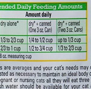 Purina Fancy Feast With Ocean Fish & Salmon And Accents Of Garden Greens Gourmet Cat Food