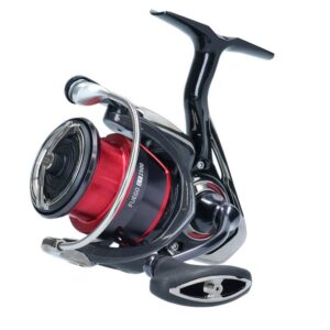 Daiwa Fuego 20 LT 6000 H Reel