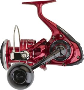 daiwa moulinet bg rr lt 8000 p ark