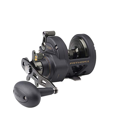 PENN Fathom II Star Drag Conventional Fishing Reel