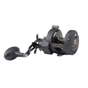 PENN Fathom II Star Drag Conventional Fishing Reel