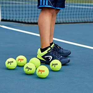 Penn Championship Tennis Balls - Extra Duty Felt Pressurized Tennis Balls - 24 Cans, 72 Balls