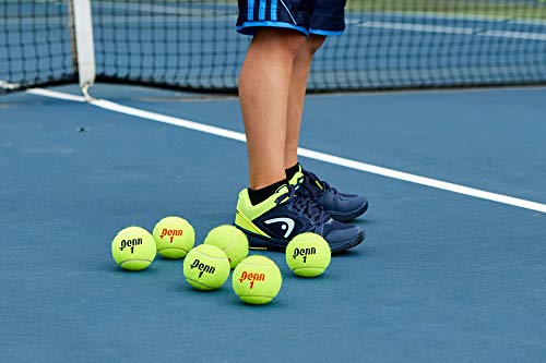 Penn Championship Tennis Balls - Extra Duty Felt Pressurized Tennis Balls - 24 Cans, 72 Balls