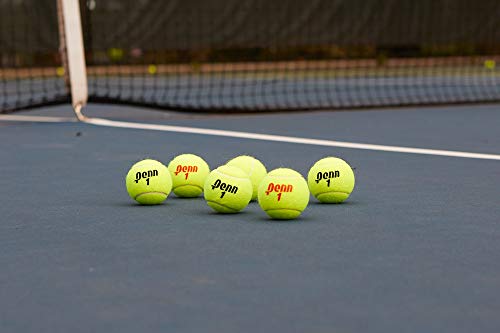 Penn Championship Tennis Balls - Extra Duty Felt Pressurized Tennis Balls - 24 Cans, 72 Balls