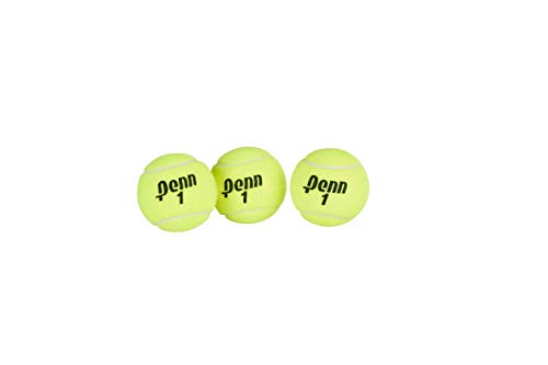 Penn Championship Tennis Balls - Extra Duty Felt Pressurized Tennis Balls - 24 Cans, 72 Balls