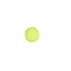 Penn Championship Tennis Balls - Extra Duty Felt Pressurized Tennis Balls - 24 Cans, 72 Balls