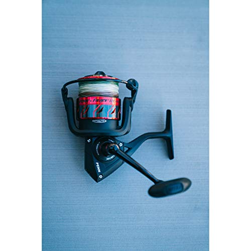 PENN® Fierce® III Reel