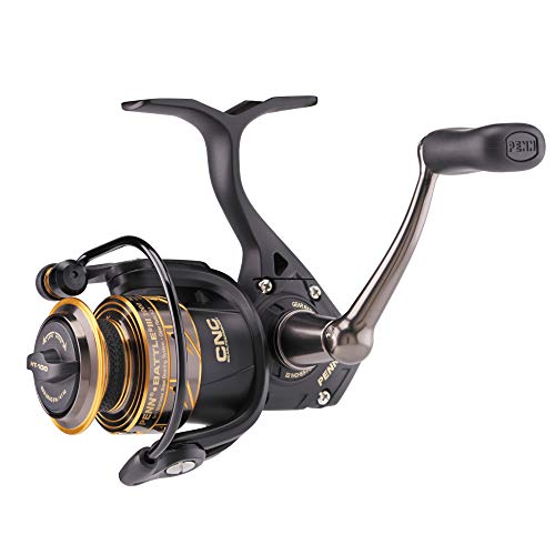 PENN Battle II & III Spinning Fishing Reel