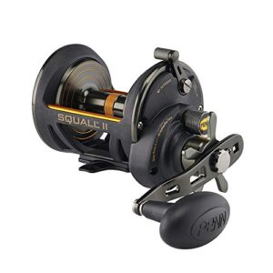 penn squall ii star drag conventional fishing reel, sqlii12sdlh