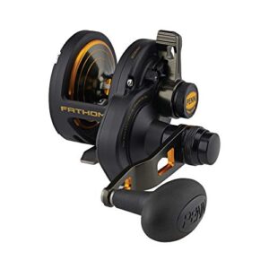 penn fishing fathom lever drag 2 speed conventional fishing reel