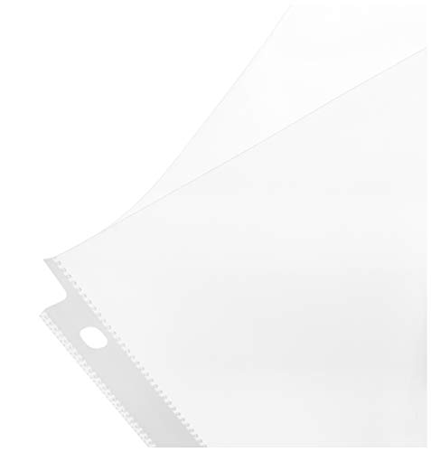 GTP Clear Top Loading, Heavy Weight, Heavy Duty, Sheet Protectors Holds 8.5"X11" Papers, Bulk, Acid Free, Reinforced Binding Edge.Heavyweight (100) (10 Packs of 100)