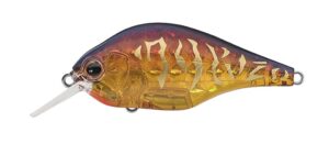 daiwa evergreen zeruch crankbait 4 feet pre spawn dynamite