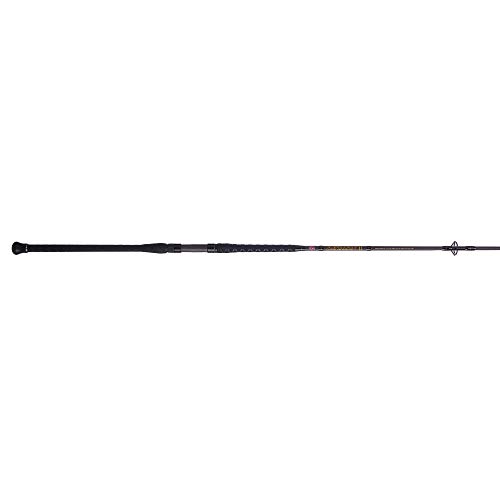 PENN Fishing Squadron III Surf Spinning Fishing Rod, Titanium/Red/Gold, 9' - Medium - 2pc (SQDSFIII1220S90)