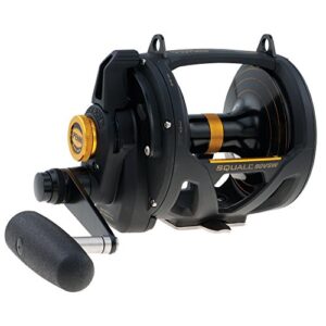 penn 1292937 30vsw squall lever drag 2 speed reel, 1035/30