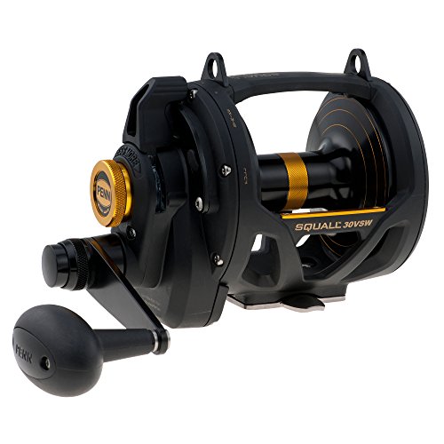 Penn 1292937 30VSW Squall Lever Drag 2 Speed Reel, 1035/30