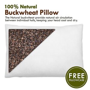 Daiwa Felicity 100% Natural Premium Buckwheat Sobakawa Pillow with Pillow Protective Cover (2 Pack)