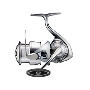 daiwa lt3000s spinning reel 22 igujisto (2022 model)