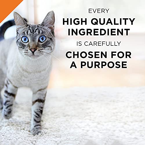 Purina Pro Plan Savor Adult Seafood Stew Entree In Sauce Canned Cat Food, 3 oz, Case of 24