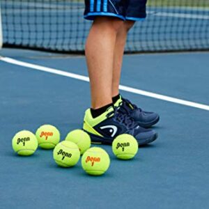 Penn Championship Tennis Balls - Regular Duty Felt Pressurized Tennis Balls - 12 Cans, 36 Balls