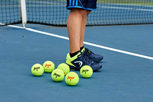 Penn Championship Tennis Balls - Regular Duty Felt Pressurized Tennis Balls - 12 Cans, 36 Balls