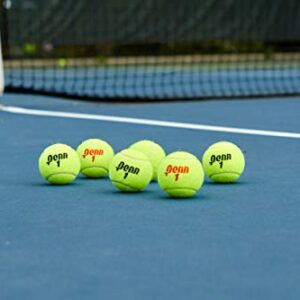 Penn Championship Tennis Balls - Regular Duty Felt Pressurized Tennis Balls - 12 Cans, 36 Balls