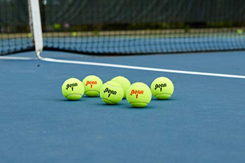 Penn Championship Tennis Balls - Regular Duty Felt Pressurized Tennis Balls - 12 Cans, 36 Balls