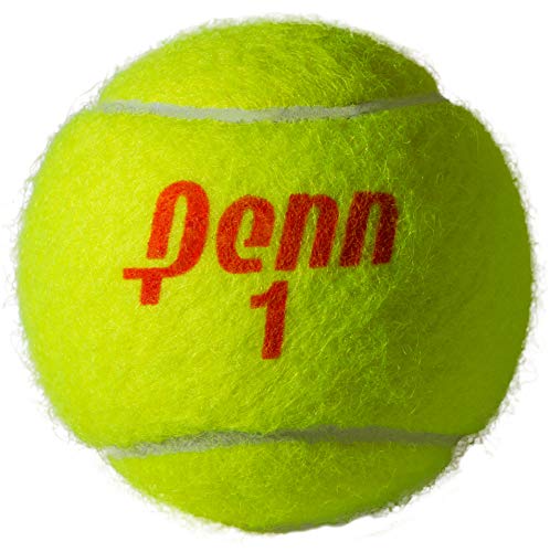 Penn Championship Tennis Balls - Regular Duty Felt Pressurized Tennis Balls - 12 Cans, 36 Balls