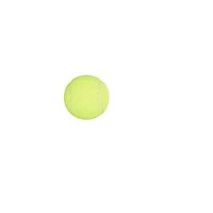 Penn Championship Tennis Balls - Regular Duty Felt Pressurized Tennis Balls - 12 Cans, 36 Balls