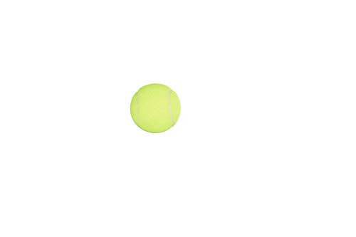 Penn Championship Tennis Balls - Regular Duty Felt Pressurized Tennis Balls - 12 Cans, 36 Balls