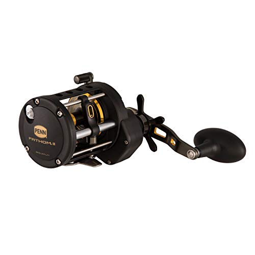 Penn FTHII20LWLCLH Spinning Rod & Reel Combos, Black Gold