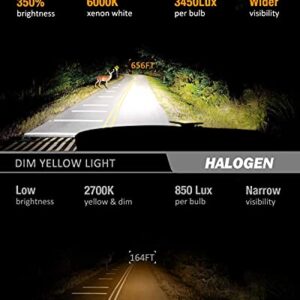 Nilight H11 LED Headlight Bulbs, 350% Brighter, 50W 10000lm Headlamp Bulbs, Mini Size, H9 High Beam, H11 Low Beam, H11/H9/H8/H16 Fog Light, 6000K Cool White, Pack of 2