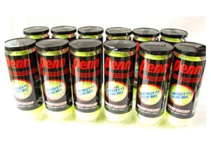 penn championship (20 cans, 60 balls total regular duty felt)